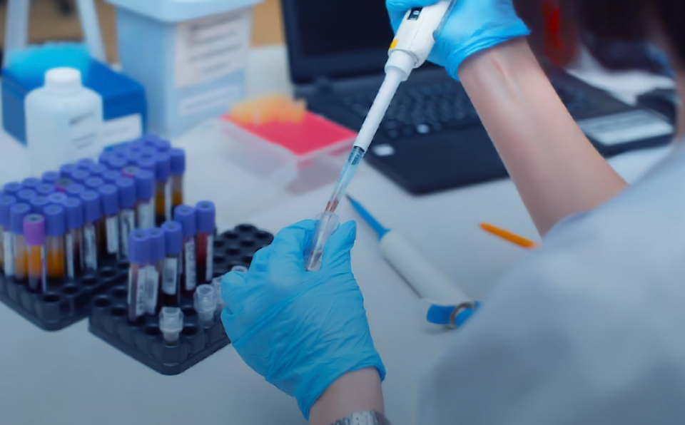 Laboratorio LEM